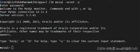 基于linux系统 搭建java web开发环境 linux 开发java csdn博客