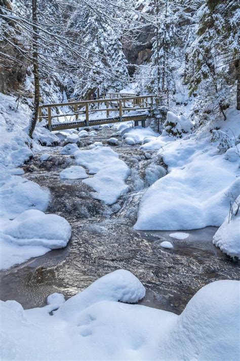 Snowy Winter Landscape With A Wooden Bridge On Tourist Trail Stock