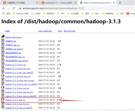 hadoop入门 七 ——hadoop安装（图文详解步骤2021） csdn博客