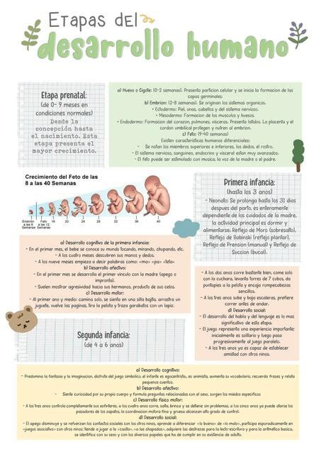 Desarrollo Humano Yumzzz UDocz