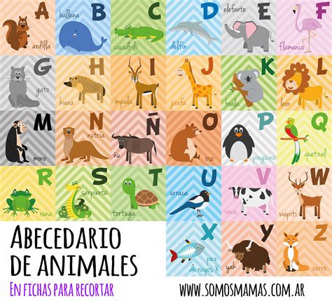 Abecedario para niños 15 Maneras divertidas de aprender las letras