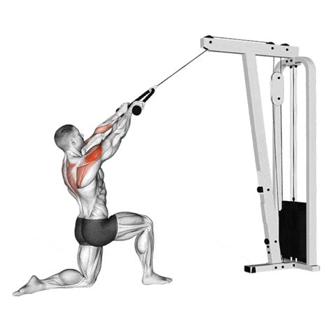 Face Pull exercice MUSCLER LES ÉPAULES