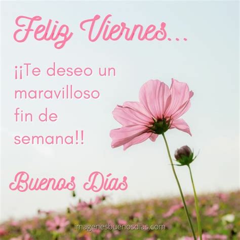 Arriba 57 Imagen Buenos Dias Con Los Dias De La Semana Viaterra Mx