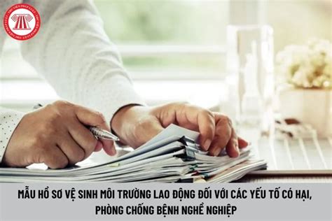 Mẫu hồ sơ vệ sinh môi trường lao động đối với các yếu tố có hại phòng