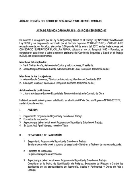 Acta De Reuni N Ordinaria N Csst Csp Enero By Frank