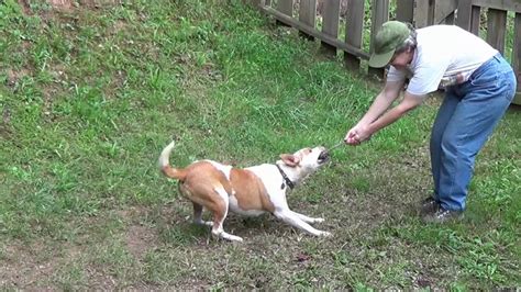 Babes Plays Tug O Rope With Marie Youtube