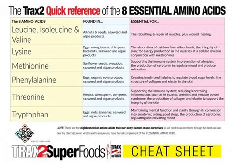 Trax Essential Amino Acids The Good Stuff Trax