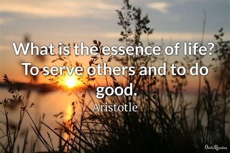 30 Quotes And Sayings About Community To Give You Inspirations