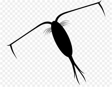 Plankton Leaf Fly CleanPNG KissPNG Clip Art Library