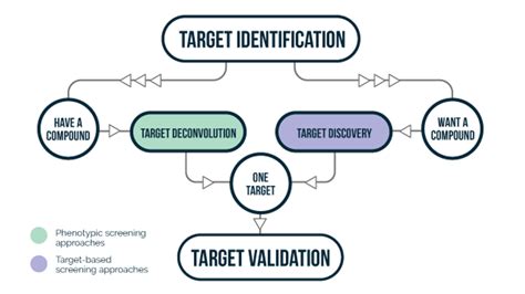 Target Identification Validation In Drug Discovery