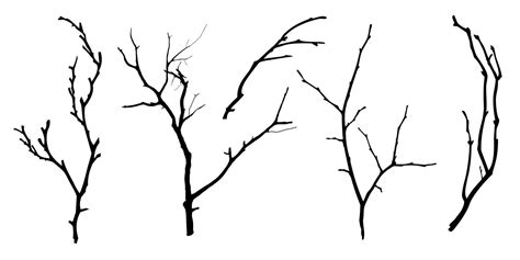 árbol de rama negra o siluetas de árboles desnudos ilustraciones