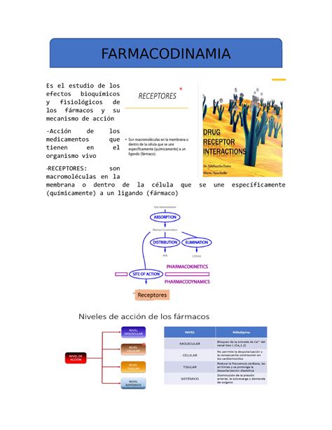 Farmacodinamia Es el estudio de los efectos bioquímicos y