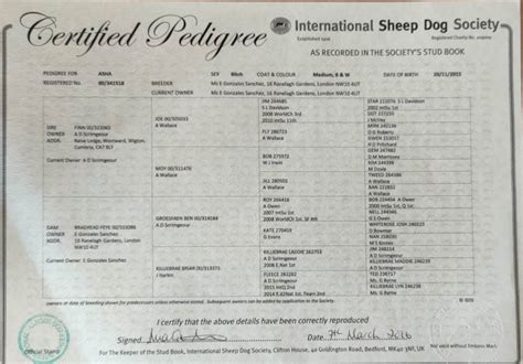 Qué es el Pedigree y cómo obtenerlo Cursos de Adiestramiento Online