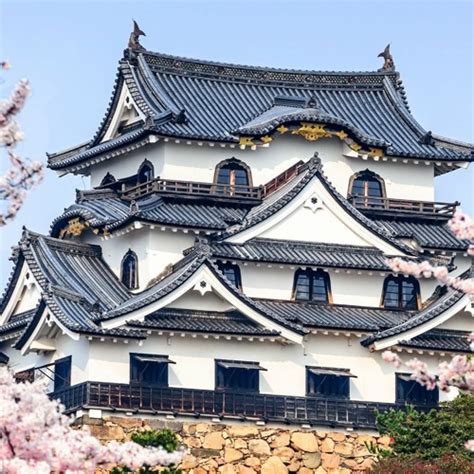 Stream Cherry Blossom By DTrax Listen Online For Free On SoundCloud