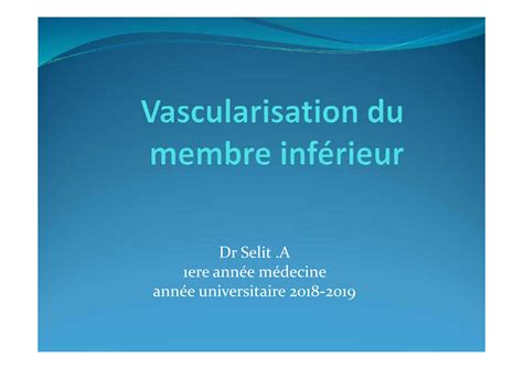 Solution Vascularisation Du Membre Inf Rieur Studypool