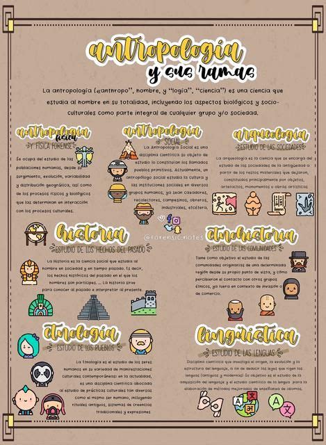 Infografía Antropología y sus Ramas uDocz Metodos de aprendizaje