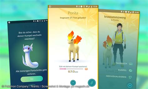 Pokémon GO Stärken und Schwächen aller Pokémon Typen connect living