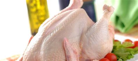 Piedra OnLine Estudios Confirman El Valor Nutricional De La Carne De Pollo