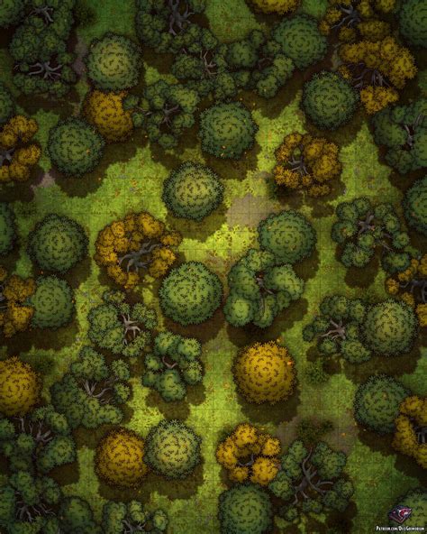 Oc Art Forest Wilderness Battle Map 24x30 Rdnd