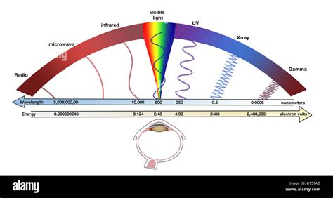 Electromagnetic Spectrum Hi Res Stock Photography And Images Alamy