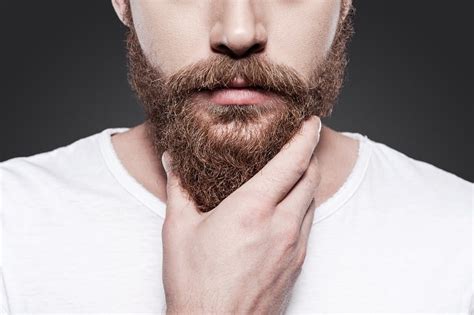 Ducktail Beard How To Style Groom It Refresh Your Look
