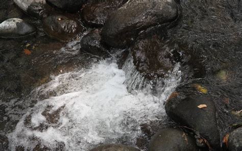 Exponen Falta De Tratamiento De Aguas Residuales En Veracruz Y Boca Del