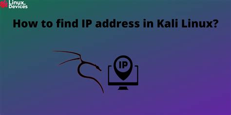 How To Find IP Address In Kali Linux LinuxForDevices