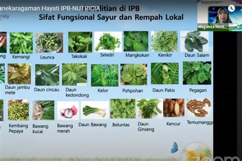 Contoh Tanaman Pertanian Koleksi Gambar
