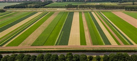 Strip Cropping System What Is The Strip Cropping System