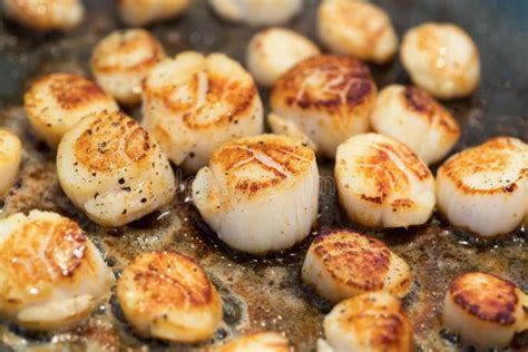 Pan smażone małże obraz stock Obraz złożonej z seafood 43172719
