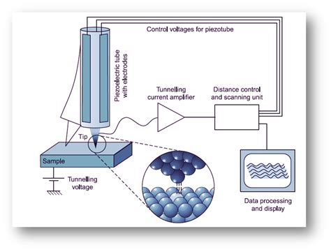 Scanning Tunneling Microscope Stm Principle Instrumentation Uses