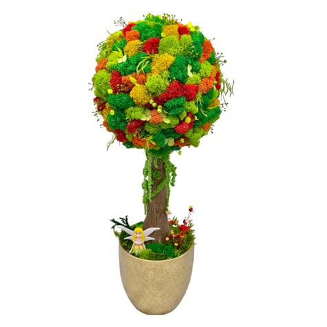 Aranjament Floral Tip Copacel Pomisor Cu Licheni Naturali Stabilizati
