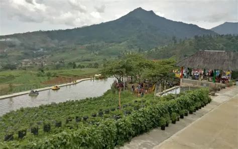 10 Rekomendasi Kebun Wisata Petik Strawberry Di Bandung