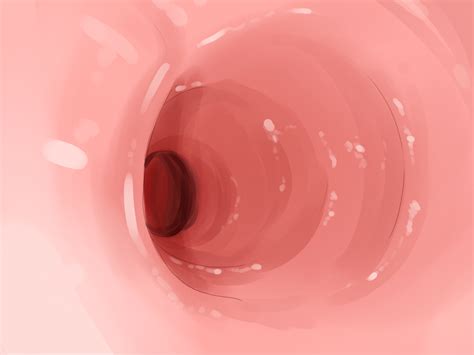 Rule 34 Anus Artist Request Ass Close Up Internal View Spread Anus Tsubame Pixiv Uncensored