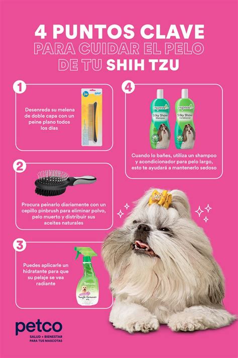 Cuidado Shih Tzu Caracteristicas de los perros Peluquería de perros