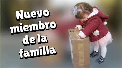 Bienvenida A Un Nuevo Miembro De La Familia REBORN YouTube
