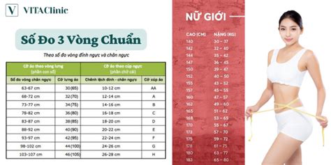 Hướng dẫn thực hành 1m56 eo bao nhiêu la đẹp Tại nhà cho phái đẹp