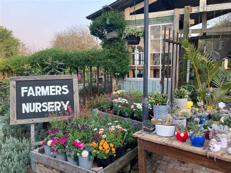 Why You Need To Visit Fourways Farmers Market