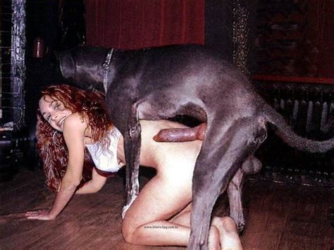 Пес секс и эротика Porno pussy