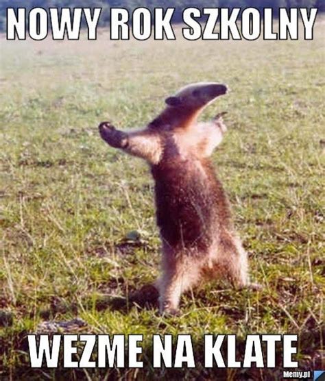 Najlepsze Memy O Uczniach Nauczycielach I Szkole Dziennik Zachodni