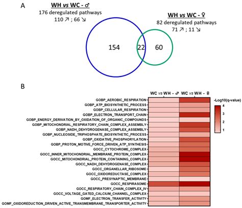 parison of gene set enrichment analysis gsea results from the download scientific