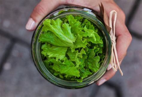 Nos Meilleures Astuces Pour Conserver Plus Longtemps Vos Aliments