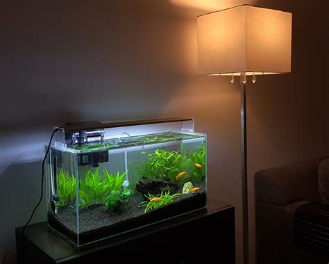 Top Fin Gallon Glass Aquarium Atelier Yuwa Ciao Jp