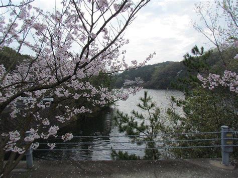 Bukan Tokyo Atau Kyoto Tempat Wisata Terbaik Di Jepang Yang Cocok