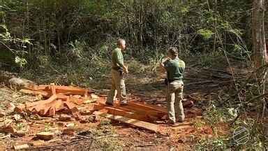 MSTV 2ª Edição Campo Grande Projeto quer tornar mais rigorosas as