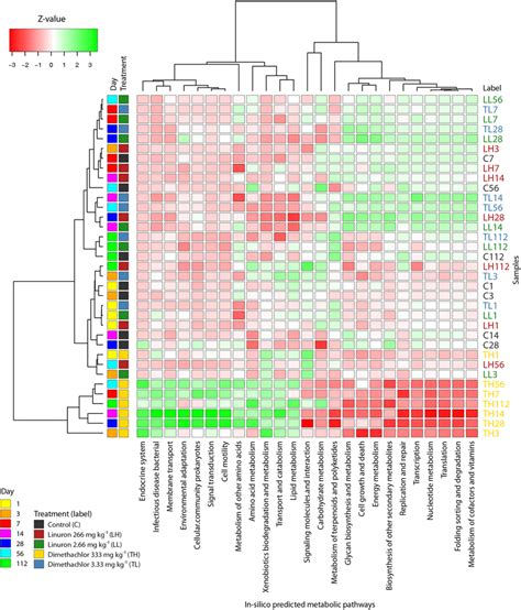 Heatmap Of KEGG Annotated Level 2 Metabolic Pathways Predicted By
