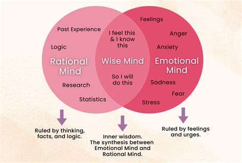 The Wise Mind Finding Balance Between Reason And Emotion Mental