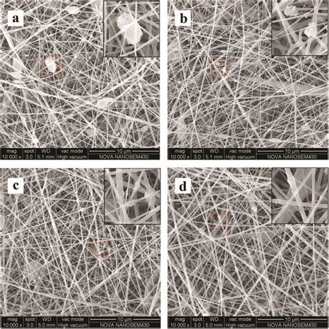 SEM Images Of The Scaffold Surface Morphology With Different PEG