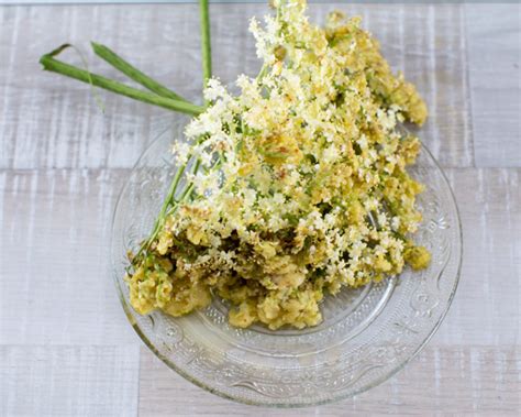Holunderblüten Rezepte SalzburgerLand Magazin