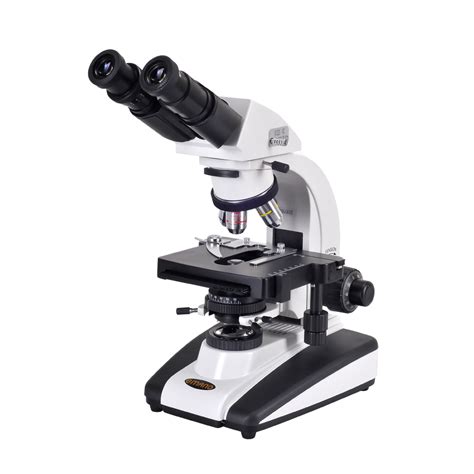 Microscope PNG Clipart PNG All